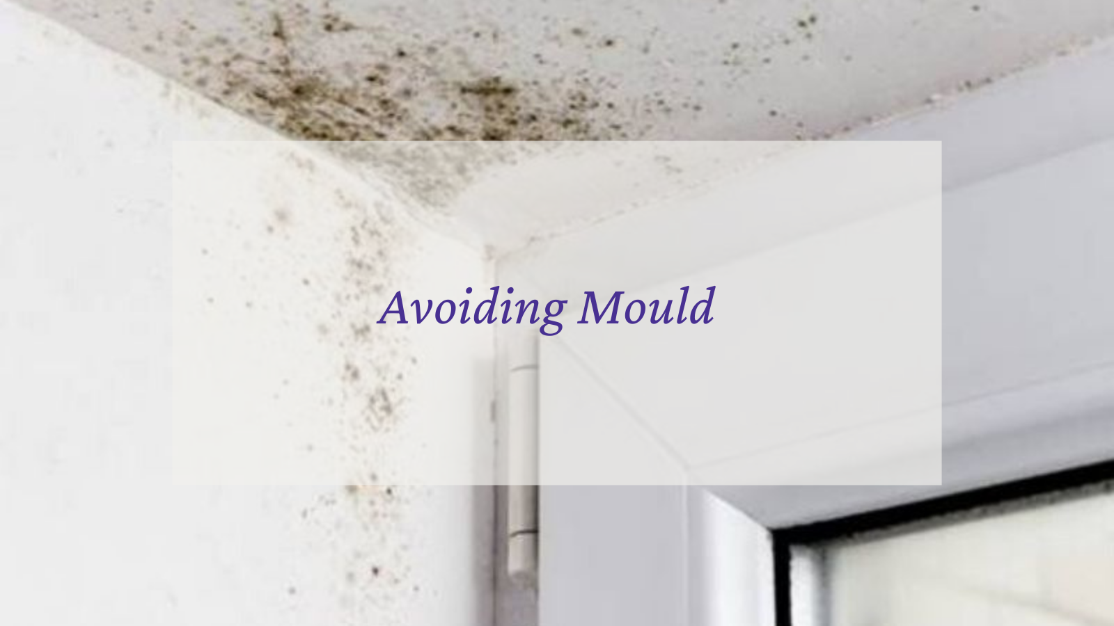 How to Avoid Mould - Rightside